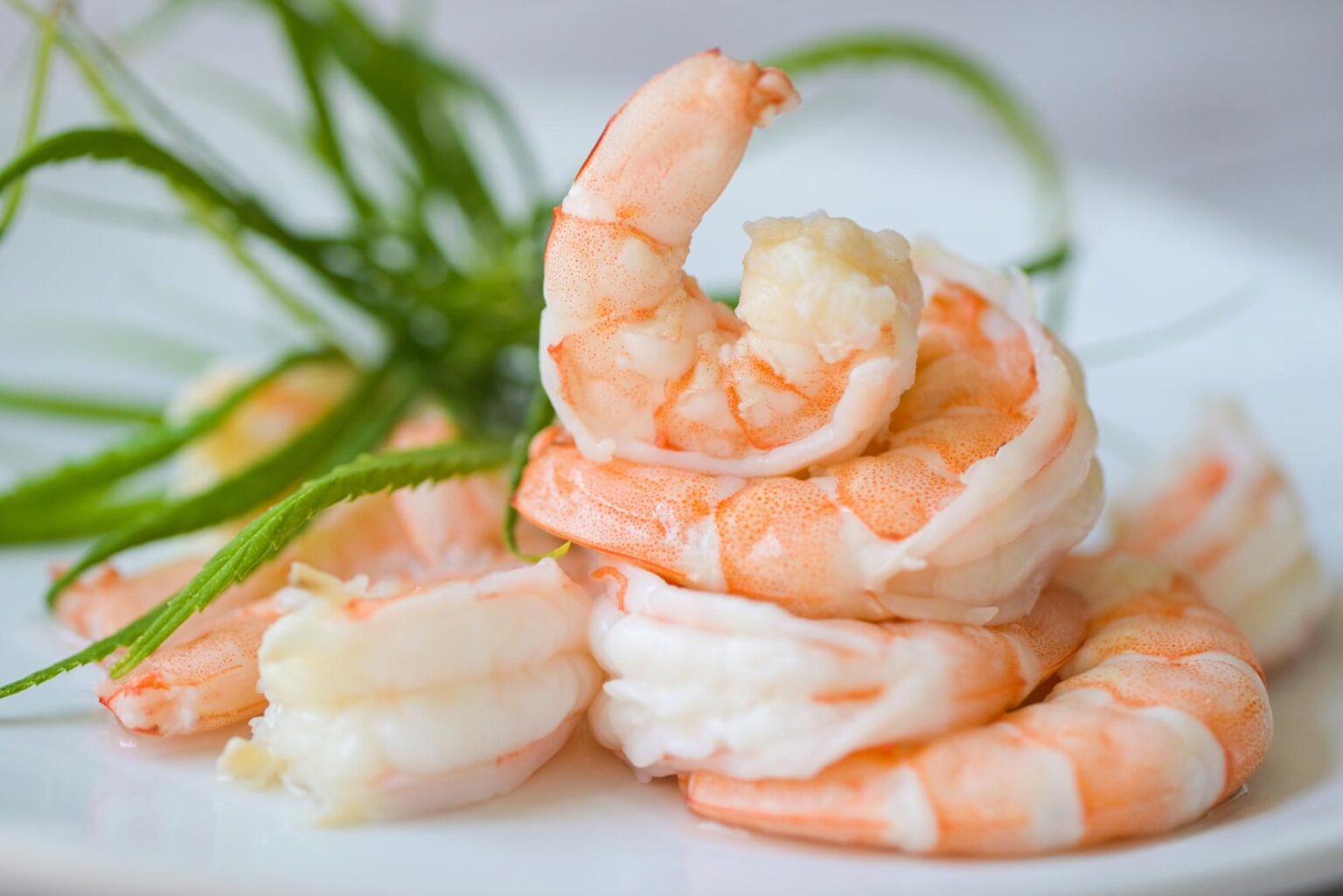 NEW! - Pacific White Prawns - Foodie Fit